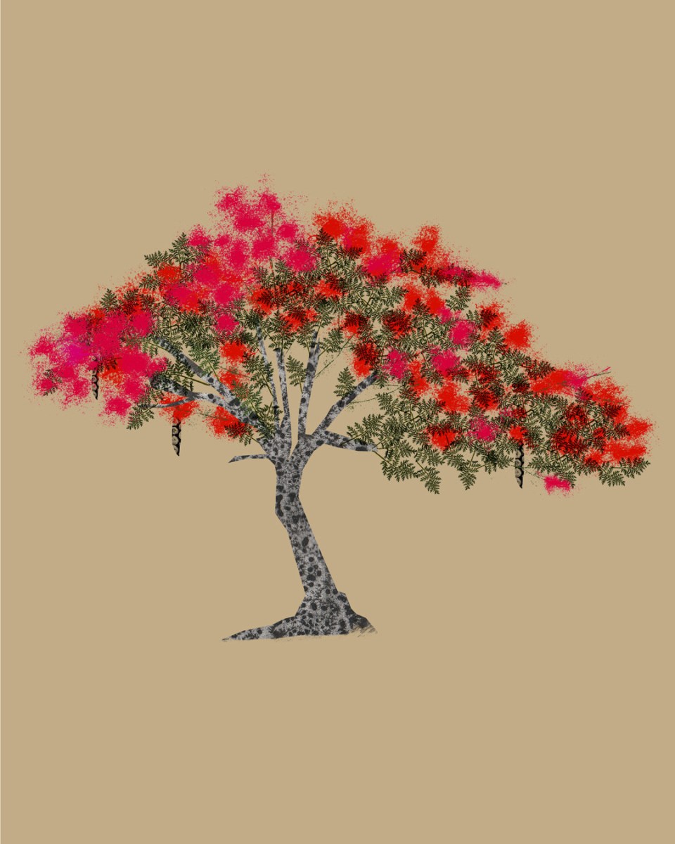 Treecollage – Aindri C