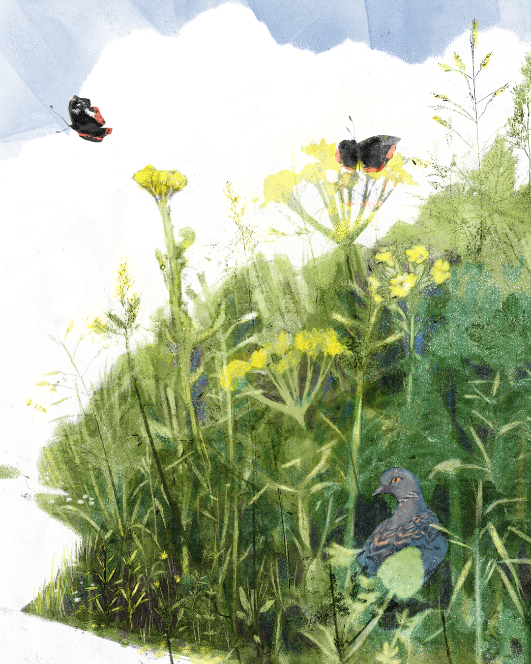 Paradise Lost – Aindri C